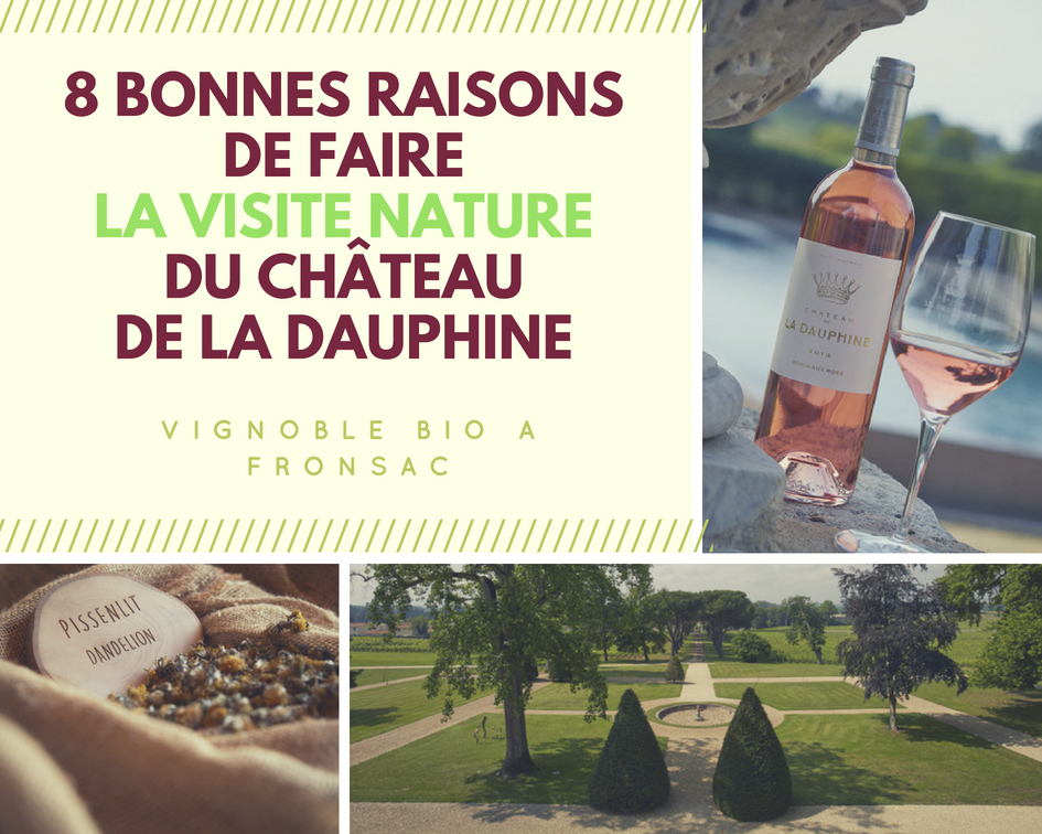 8 Bonnes Raisons de Faire La Visite Nature du Château de la Dauphine ...
